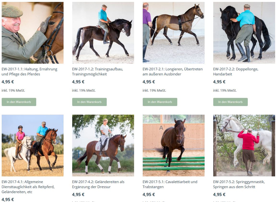 Reit Videos online - Theorie und Grundlagen zum Reiten