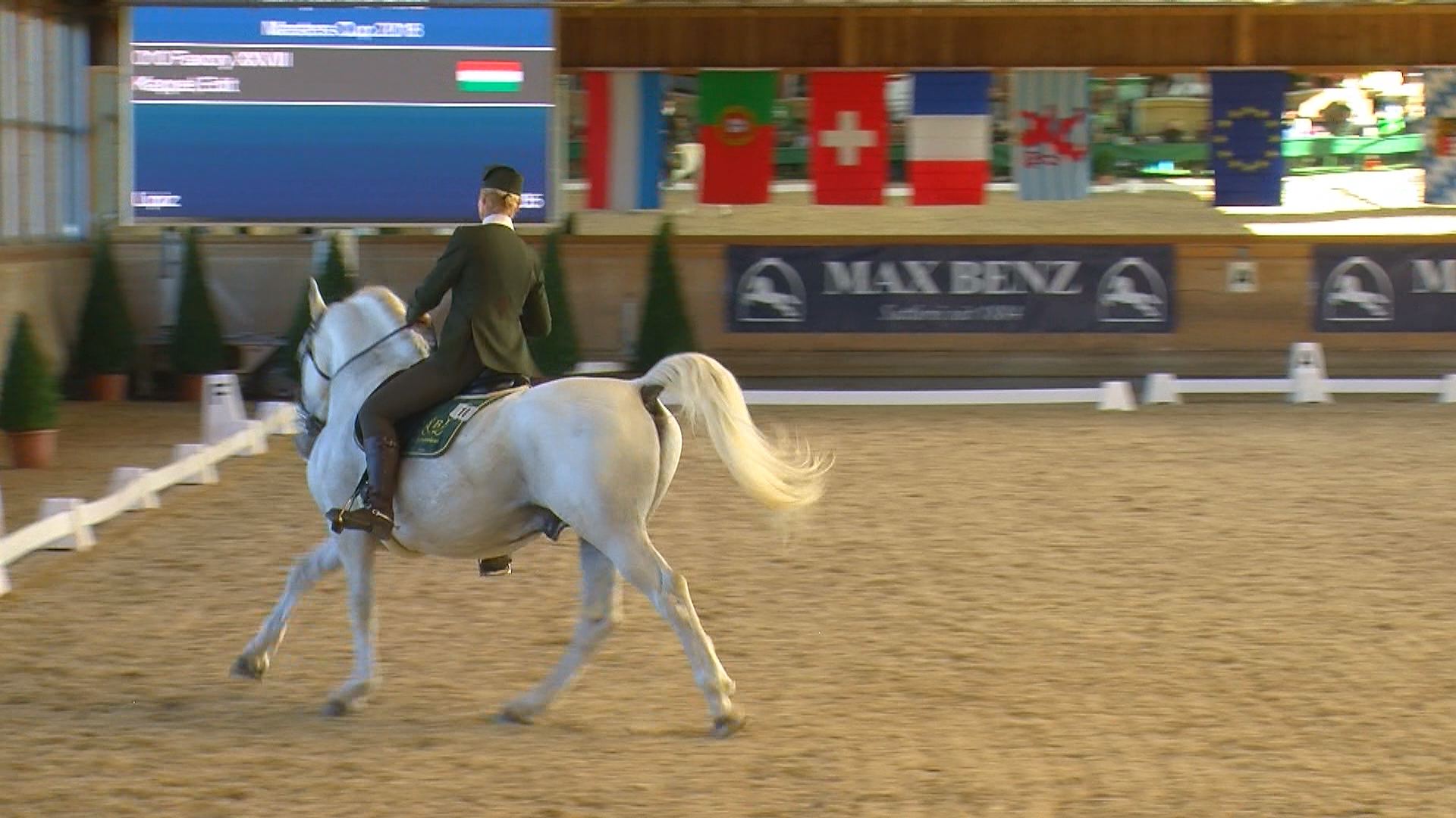 Max Benz-Master Cup 2018-S-Dressur- EDIT KAPPEL auf Favory XXVIII - ESR ...