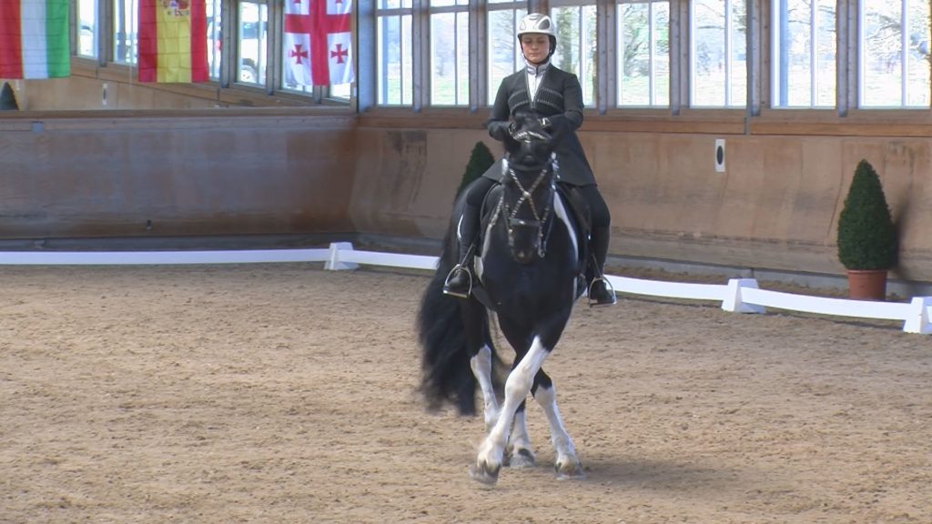 Max Benz-Master Cup 2018-S-Dressur-ANNA GUGUNOVA auf Lohses Nicon - ESR ...