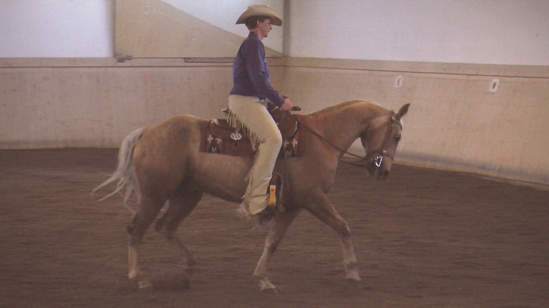 PSA 2018-A-Dressur- Manuela Heim auf Sunny Boy - ESR-Luftbild-Shop