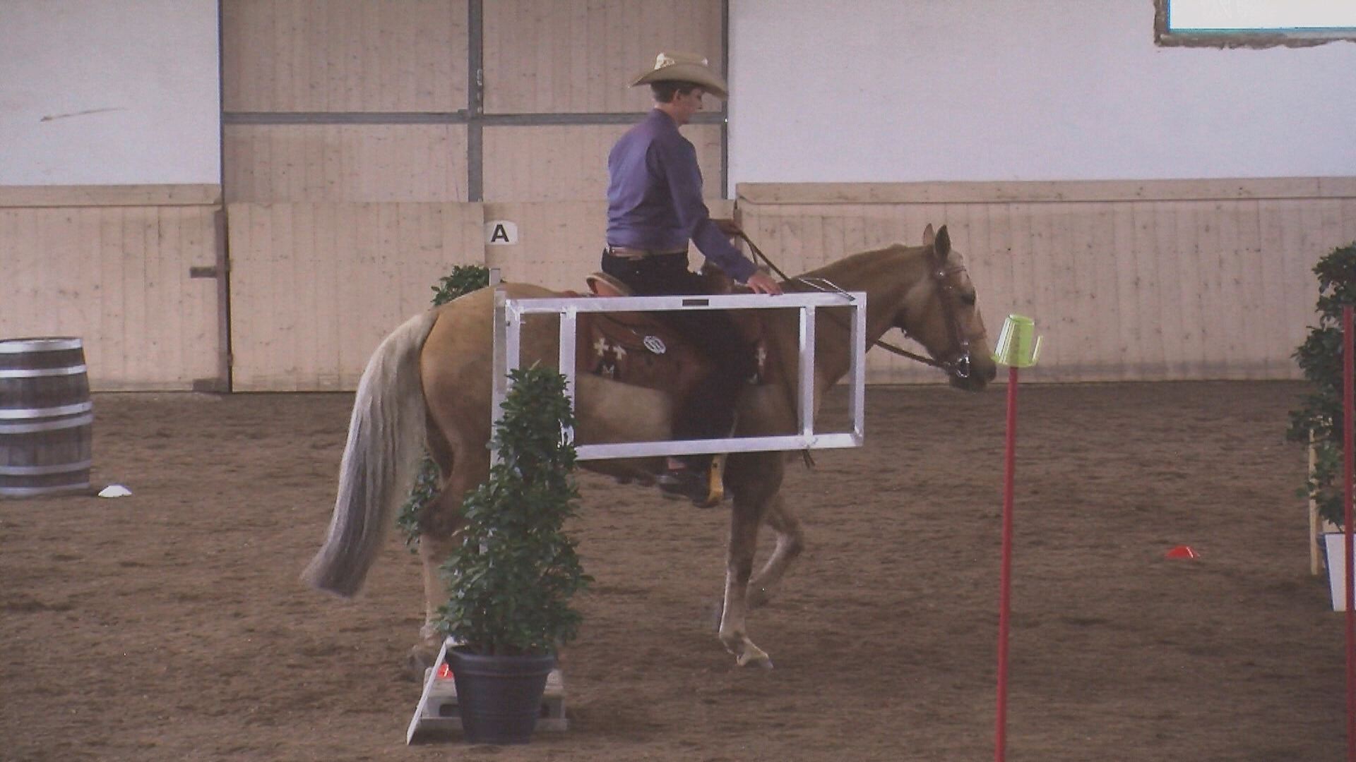 PSA 2018-A-Trail- Manuela Heim auf Sunny Boy - ESR-Luftbild-Shop