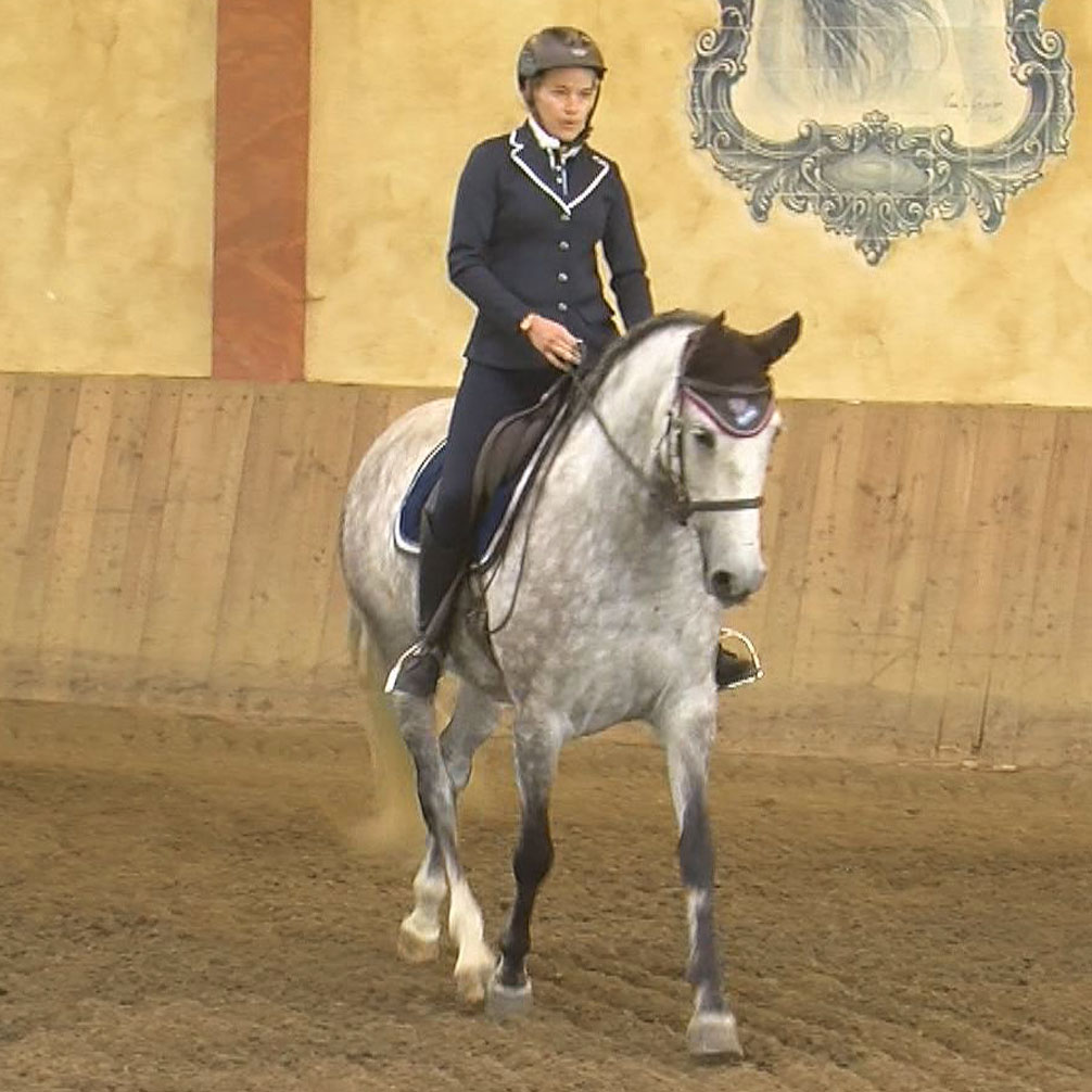 ERC-TT-08.2018-WE-Dressur - Helen Louton auf Tona Nadales - ESR ...