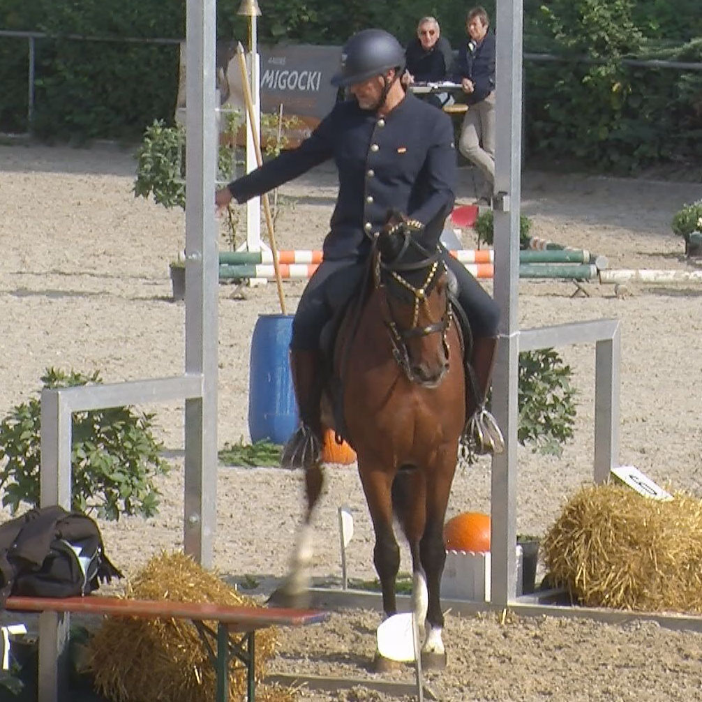 WED-DM-2018-WS-0051-Trail-Thomas Türmer auf Orlando - ESR-Luftbild-Shop