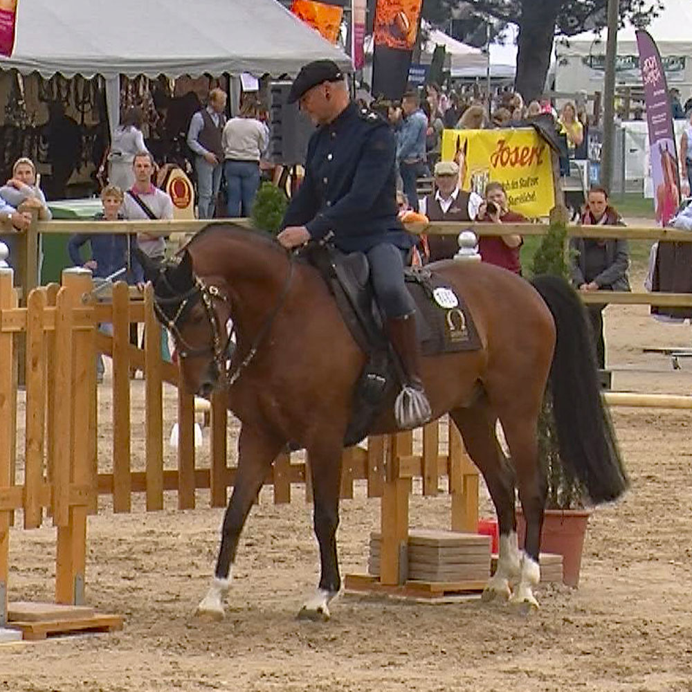 WED-NaC-2019.05-WS- 492-Trail-Thomas Türmer auf Orlando - ESR-Luftbild-Shop